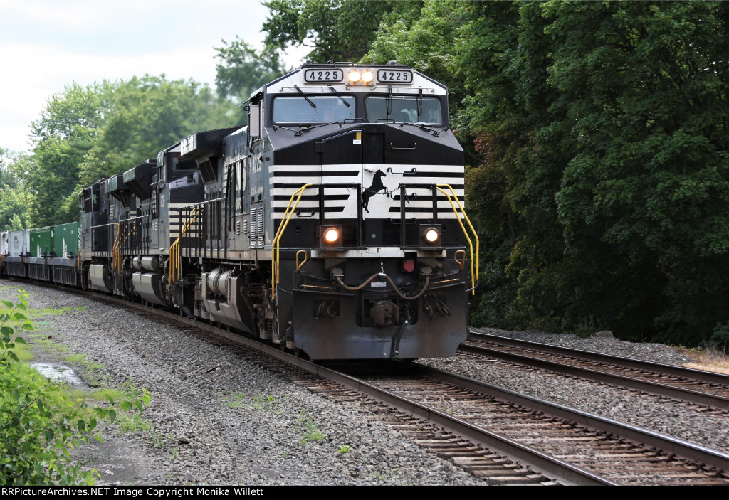 NS 4225 at Topton Station